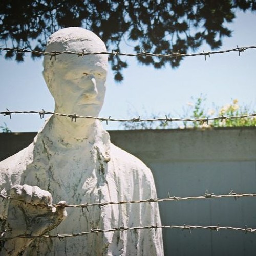 Stream Compensation for Holocaust Survivors - The Jay Shapiro Show by ...