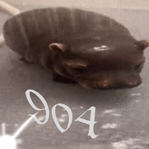 Stream Air ‎‎‎ ‎‎ ‎ ‎ ‎‎:( prod me ): by PEDRO | Listen online for free ...