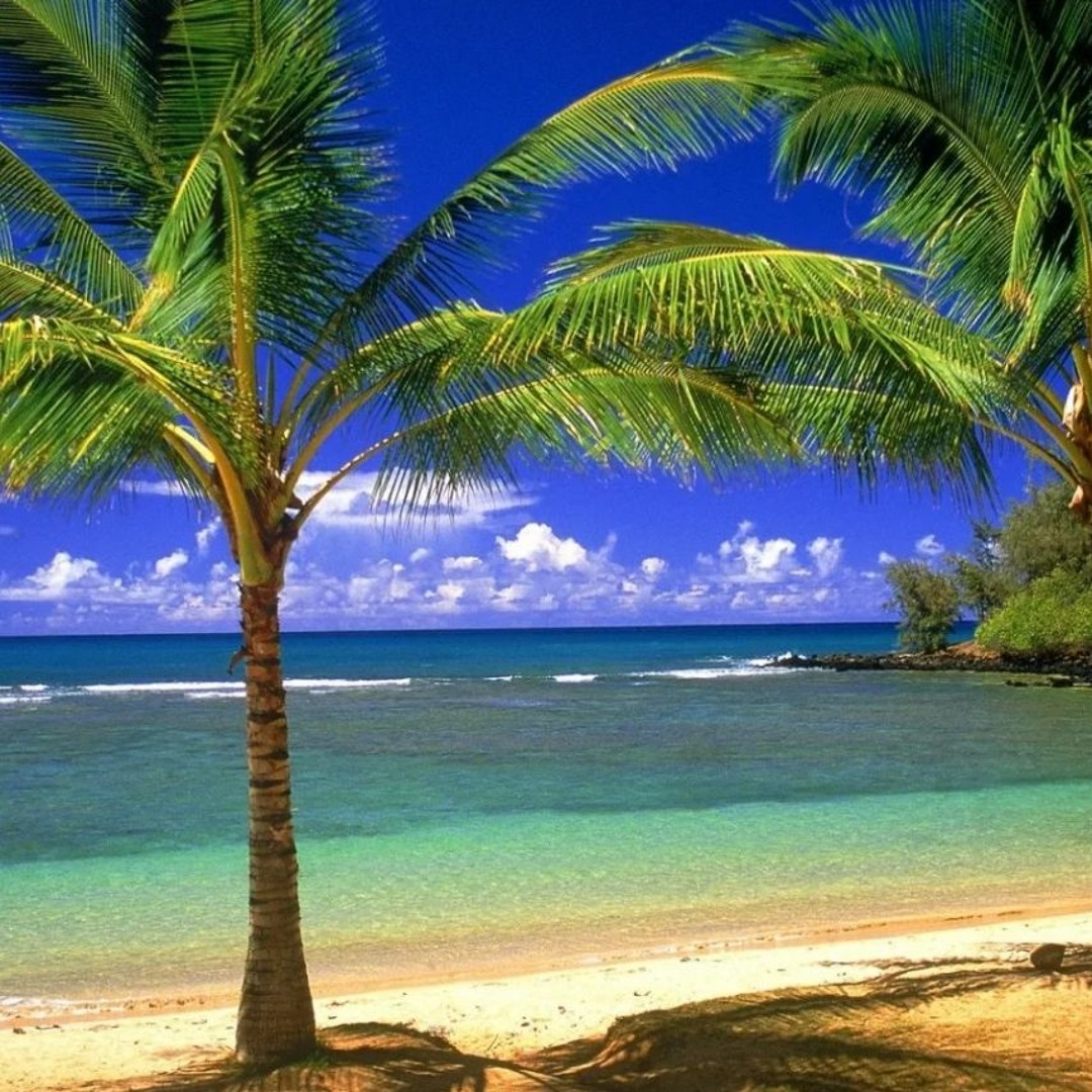 Stream Amp Fiddler | Listen to - eb-eb nafsak gaming background music ...