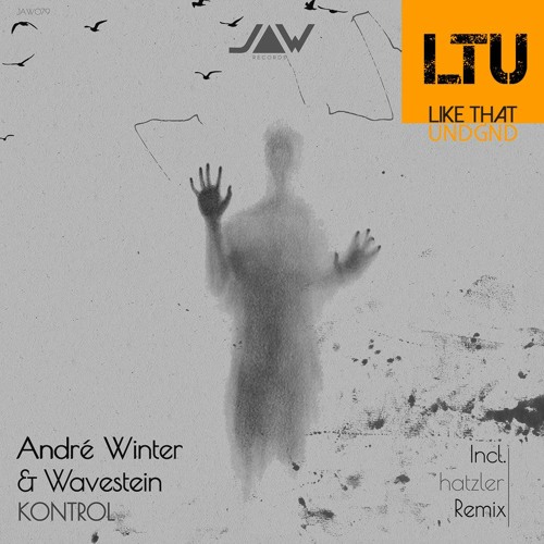Stream Premiere: André Winter & Wavestein - Kontrol (hatzler Remix ...