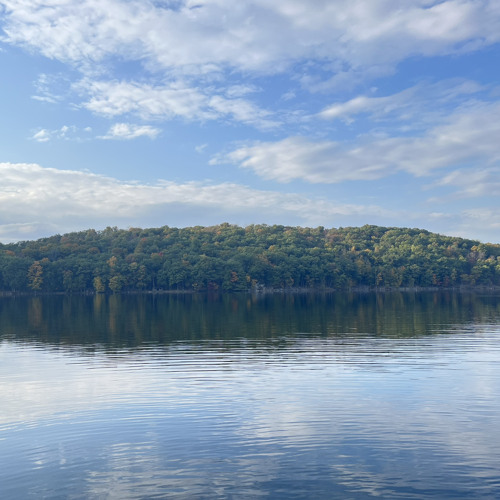 Stream Nicky Youre - Sunroof (light stone remix) by Avi Lite | Listen ...