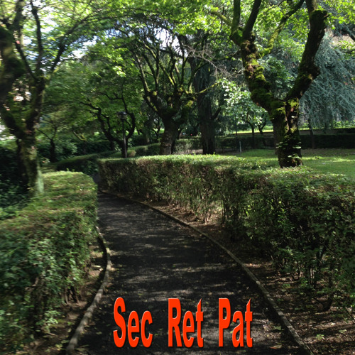 Stream Secret Path by Sec Ret Pat | Listen online for free on SoundCloud