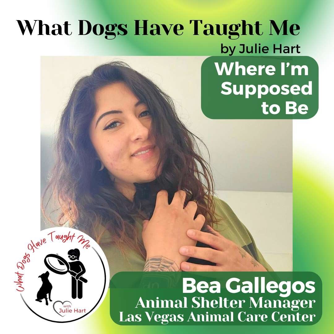 Stream Where I'm Supposed to Be with Bea Gallegos by What Dogs Have ...