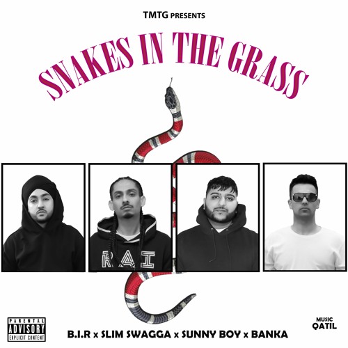 Stream B.I.R feat Slim Swagga, Sunnyboy & Banka - Snakes In The Grass ...