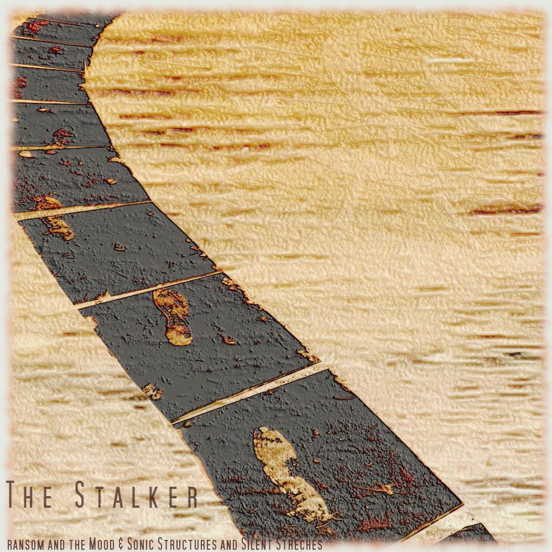 Stream The Stalker - collab with Ransom and the Mood by sonic ...