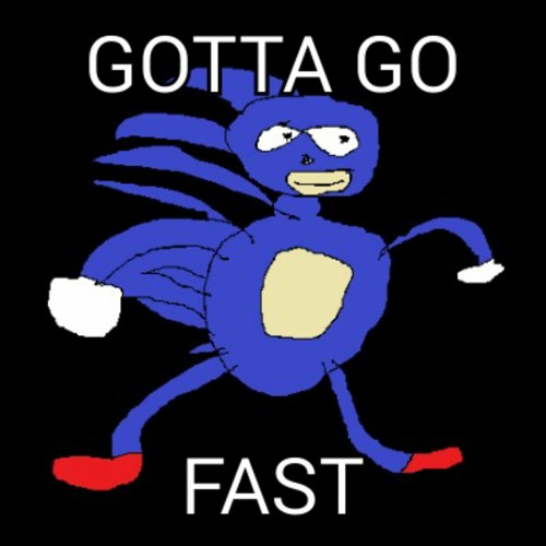 Sanic Gotta Go Faster Memes