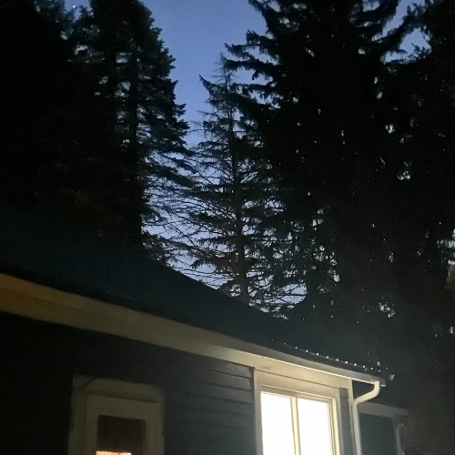 Stream Qree | Listen to sold playlist online for free on SoundCloud