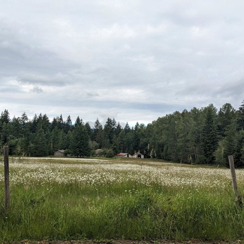 Stream Pete Spara + Otto Taimela + Robert Merlak + m50 @ etc 2024.06.21 ...