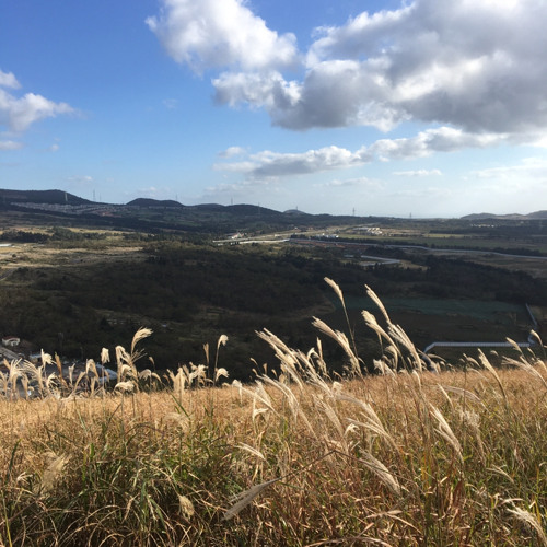 Stream Saebyeol Oreum Volcanic cone by Chan | Listen online for free on ...