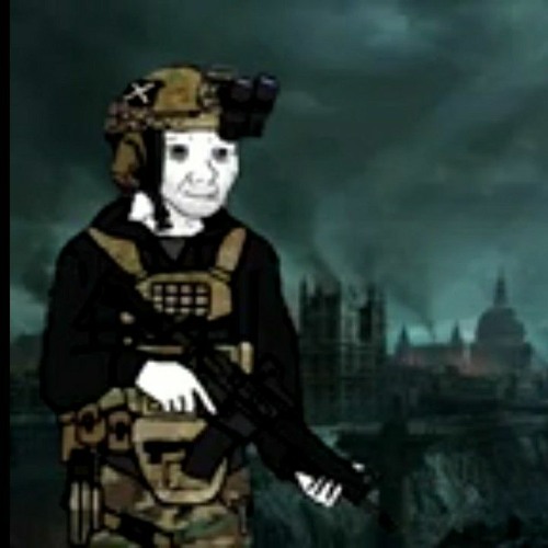 Stream Task Force Doomer Playlist vol1 by thefonziboy | Listen online ...