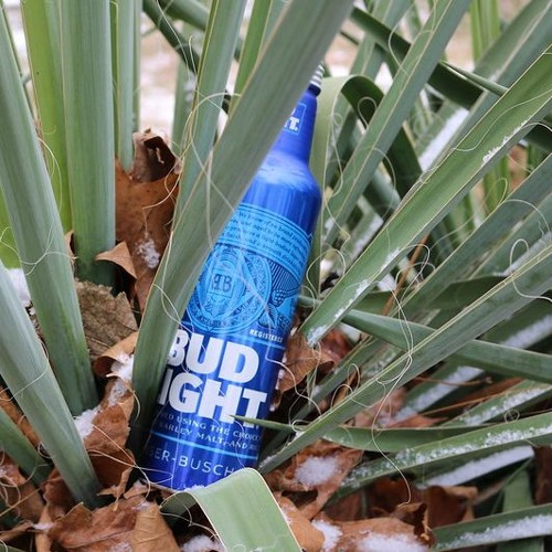 Stream Bud Light Can DUI by Xtreme 107.1 | Listen online for free on ... Stream Bud Light Can DUI by Xtreme 107.1 | Listen online for free on ...