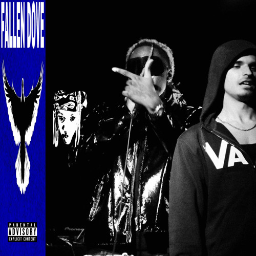 Stream Fallen Dove by Kaine Basquiat | Listen online for free on SoundCloud