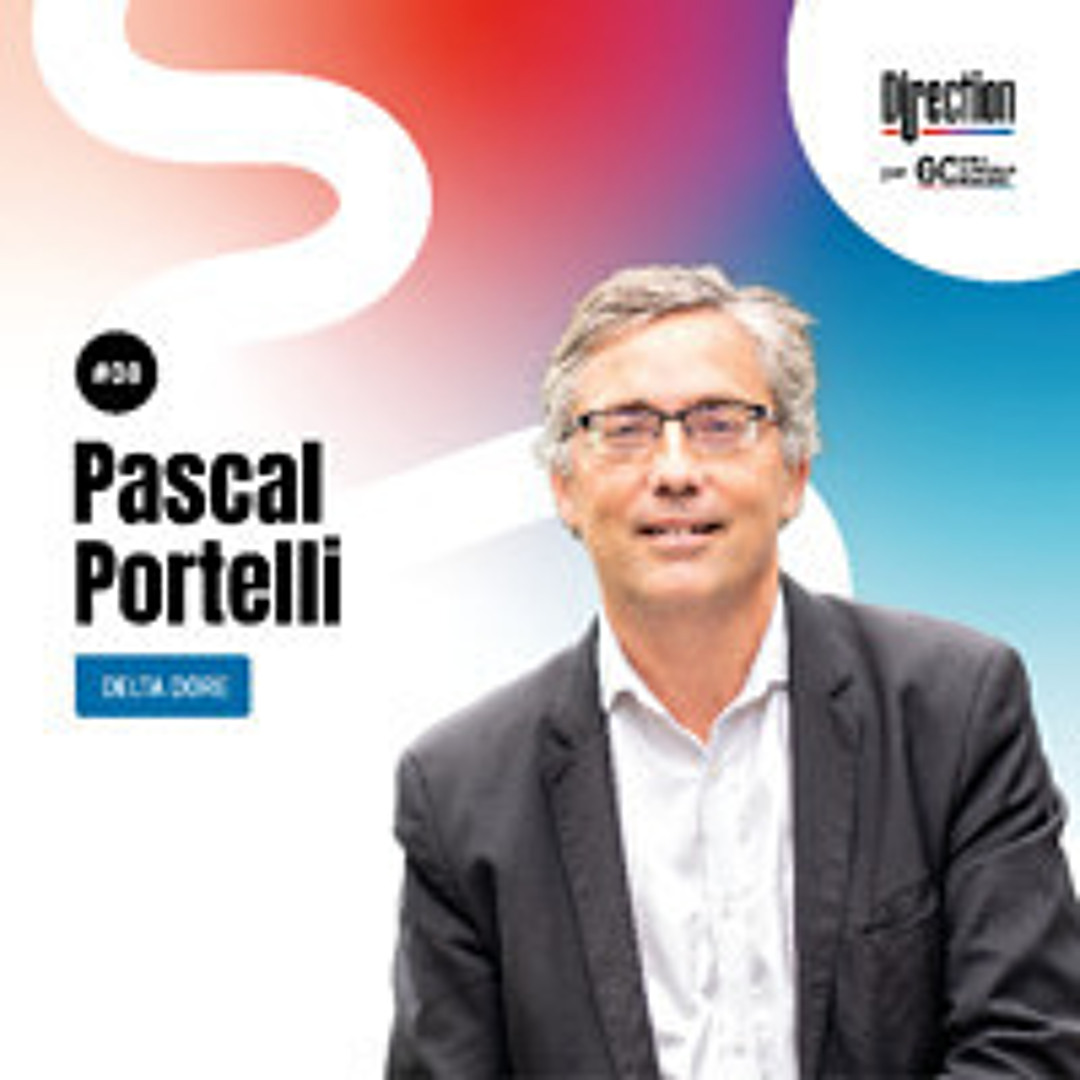 Stream Pascal Portelli (Delta Dore) : « Le particulier vient à la ...
