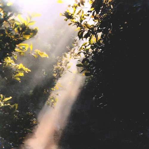 Stream Pichuscute - A Single Ray Of Light by Pichuscute | Listen online ...