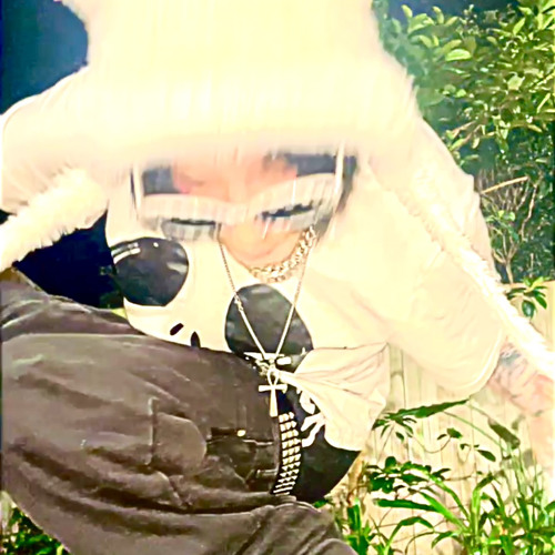 Stream W!tches & B!tches (prod. aureola) by Lil Krypt | Listen online ...