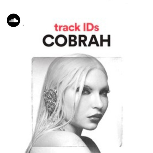 Stream Slqyyyter | Listen to COBRAH’s track ID’s playlist online for ...