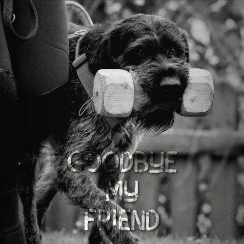 Stream Django - Goodbye My Friend by The Wild Tusker Music Production ...