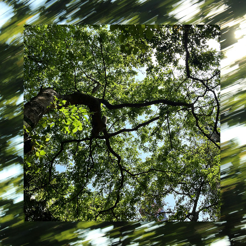 Stream Breathe In by Sappheiros | Listen online for free on SoundCloud