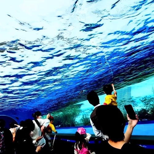 Stream OPEN MIX by SHIBAKI | Listen online for free on SoundCloud