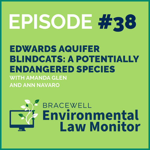 Stream Edwards Aquifer Blindcats: A Potentially Endangered Species With ...