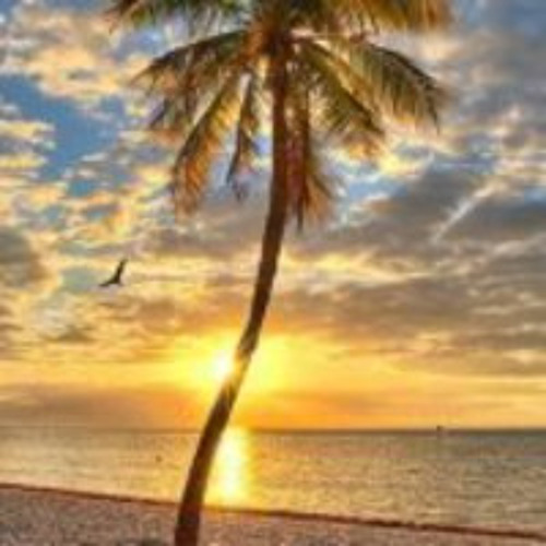 Stream Good Morning Keys April 15 2025 by Keys Talk 96.9/102.5 | Listen ...