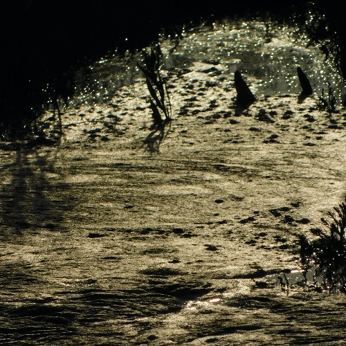 Stream 5 Dream of Footsteps 2 by Lawrence Ball | Listen online for free ...