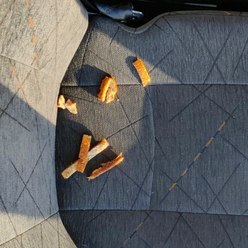 Stream Sleek pretty things by Terence Dougherty | Listen online for ...