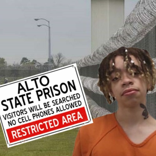 Zelda Harris In Jail