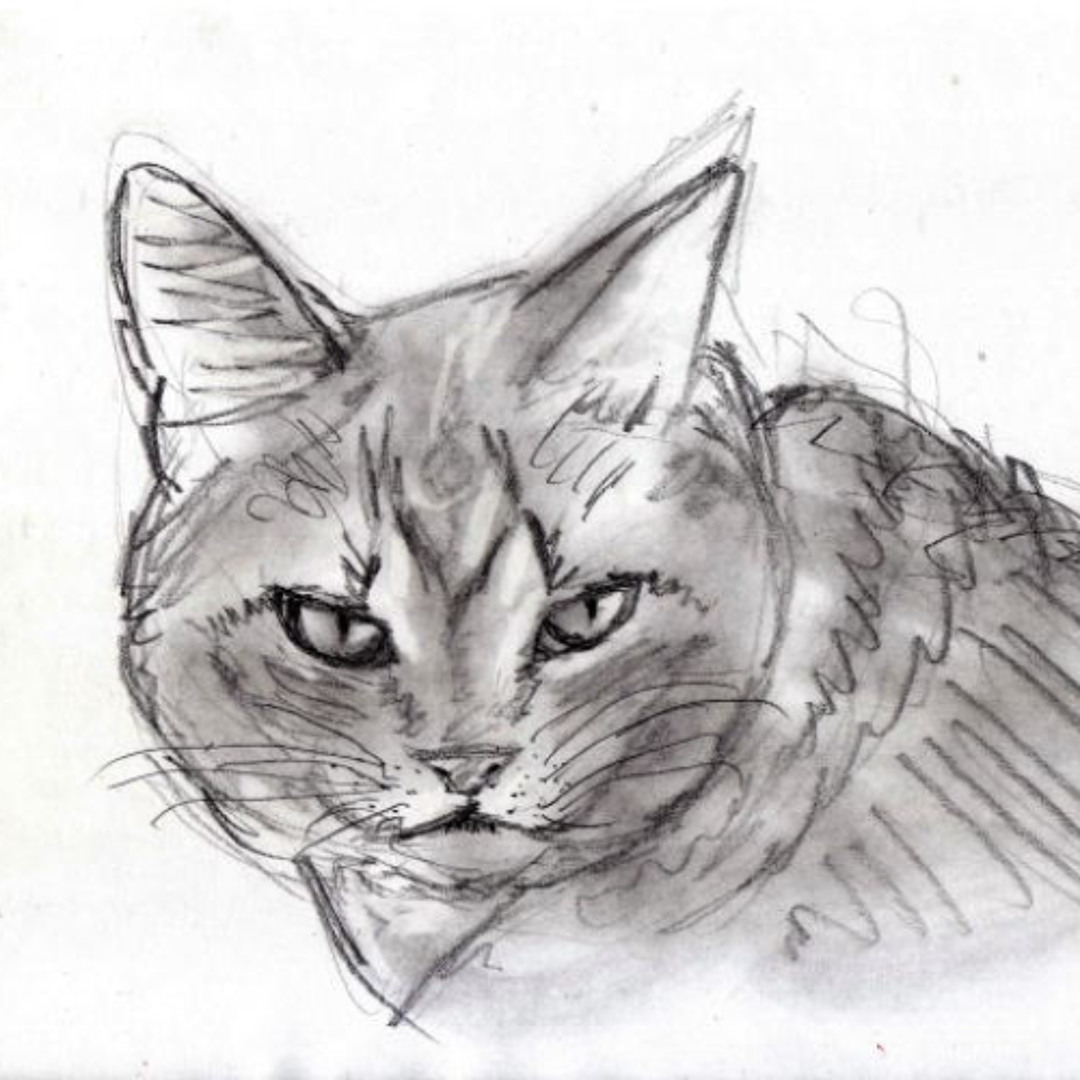 Stream Too Risky by Sanshu Seiso [Experimental Artist] | Listen online ...