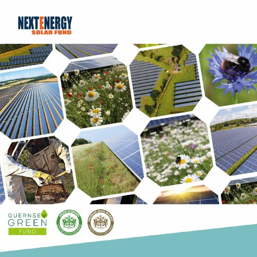 Stream episode NextEnergy Solar Fund (NESF) interim results ...