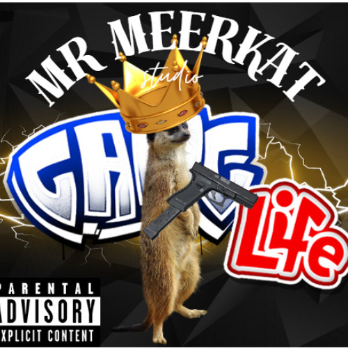 Stream Gang Life by Staxx & K!llabeatz | Listen online for free on ...