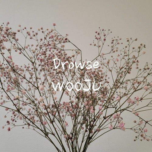 Stream WOOJU(우주)-Drowse (Lo-Fi) hip pop lofi type beat by WOOJU ...