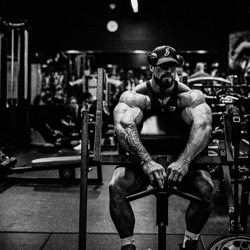 Stream CBUM x OYLMPIA x PERFECT GIRL x BABY DOLL by LOS | Listen online ...