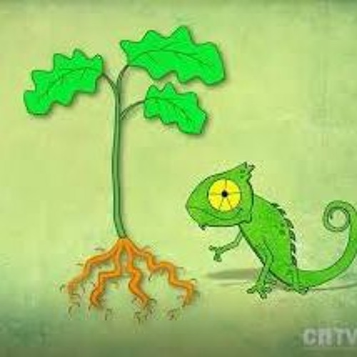 Stream Episode Partes De Una Planta Camaleón By Evelin Rodriguez