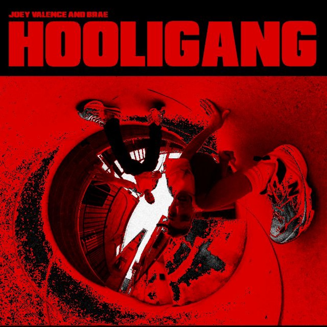 Stream HOOLIGANG - Joey Valence & Brae (AtRysk Flip) by AtRysk | Listen ...