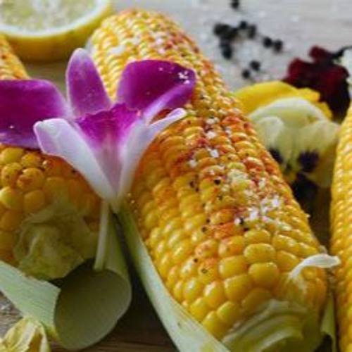 Stream Corn Nuts Commercial - Lounge Version by Van Le | Listen online ...