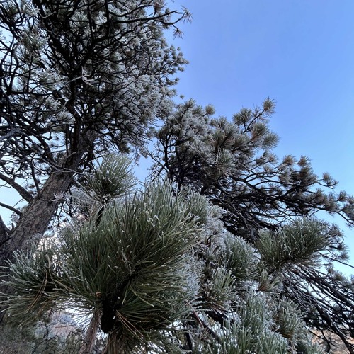Stream jackj🔌 | Listen to Snowboarding playlist online for free on ...