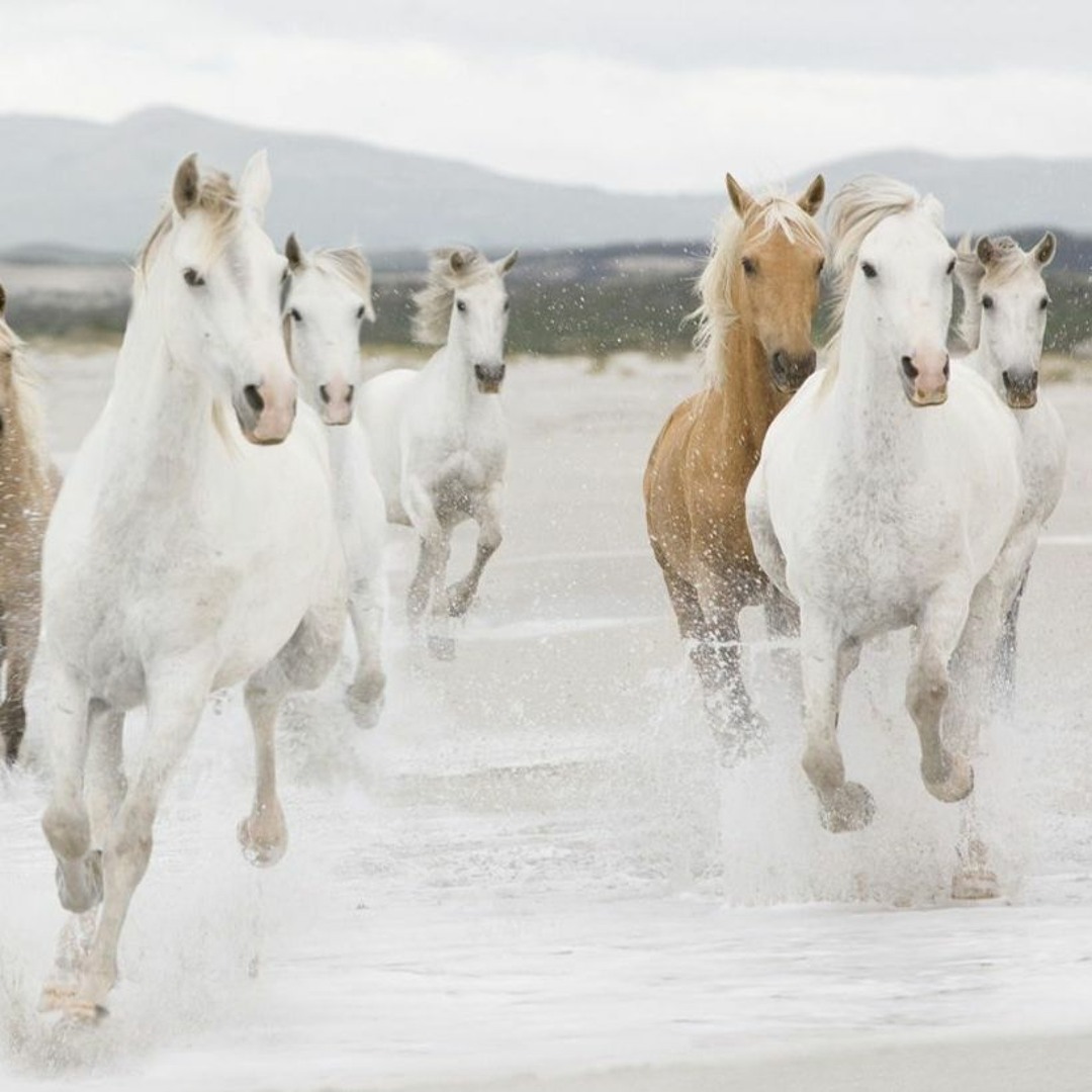 Stream late july by 2hollis | Listen online for free on SoundCloud