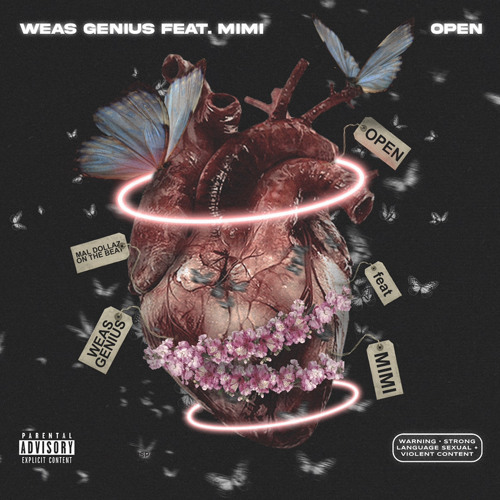 Stream Open (feat. Mimi) by Weas Genius | Listen online for free on ...