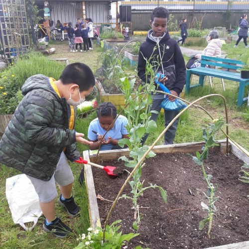 Stream episode Soil And Soul: Woodside Community Garden by Open Jar ...