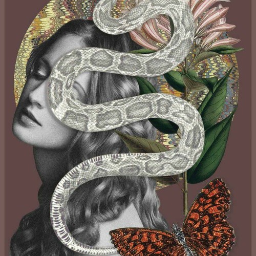 Stream Snakes by Richie Hall | Listen online for free on SoundCloud