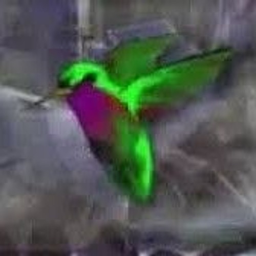 Stream AZEROY 5 VIRTUAL BIRDS by ragdollsimu | Listen online for free ...