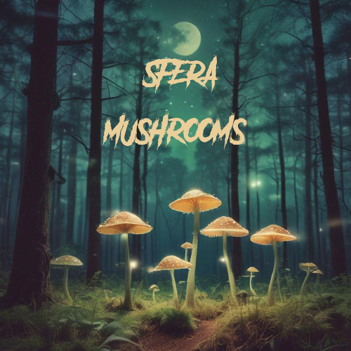 Stream sF3Ra - Mushrooms by Valera Bistrov | Listen online for free on SoundCloud