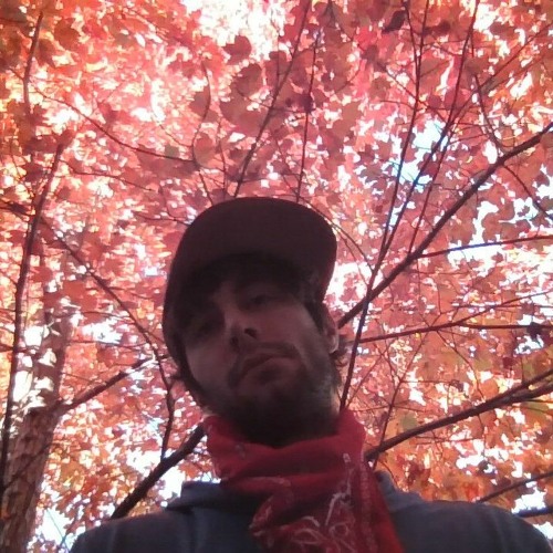 Stream Dear Chelsea 1 Table For One by Ian Carlin | Listen online for ...