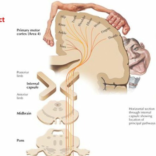 Stream Babinski x Babinski by Babinski | Listen online for free on ...