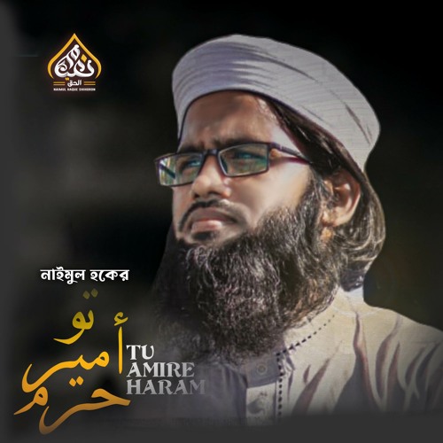 Stream Tu Amire Haram by Naimul Haque | Listen online for free on ...