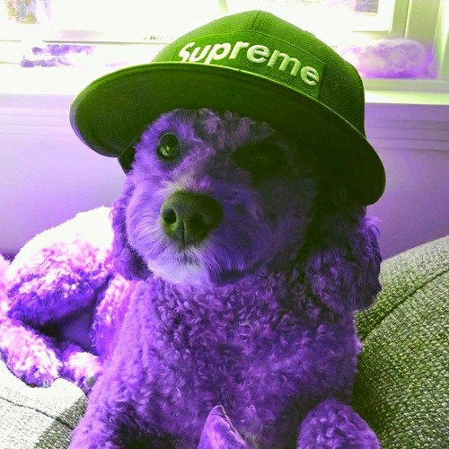 Stream Perro Ramirez (Slowed) by Perro Ramirez | Listen online for free ...