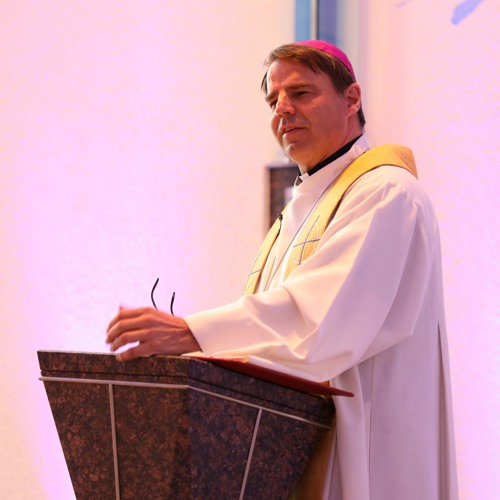 Stream "Sie warfen das Netz aus" - Predigt von Bischof Oster zum 50 ...