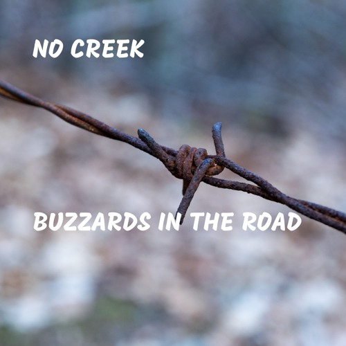 Stream Buzzards in the Road by No Creek | Listen online for free on ...