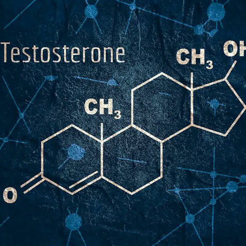 Stream The Kingdom of Test Activation: 3D Testosterone Release ...